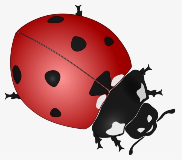 Free Ladybug Clip Art with No Background - ClipartKey