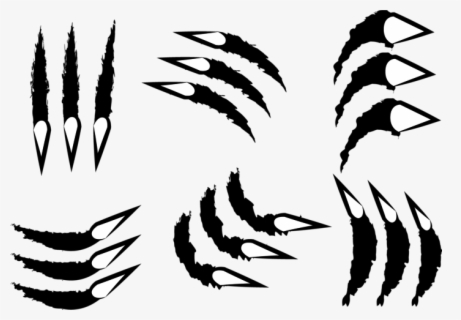 Garras De Tigre Png , Free Transparent Clipart - ClipartKey