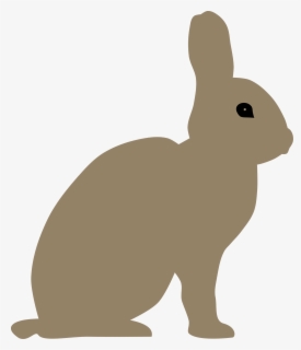 Snowshoe Hare , Free Transparent Clipart - ClipartKey