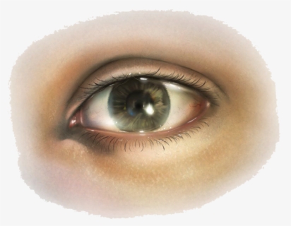 Eye Png - Human Eye Transparent Background , Free Transparent Clipart ...