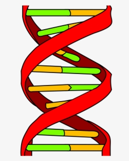 File Wikipedia Sweden Svg - Maypole Svg , Free Transparent Clipart ...