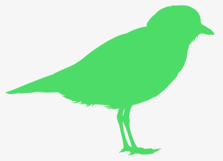 Free Songbird Clip Art with No Background - ClipartKey