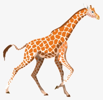 Giraffe, Zoo, Animal, Wild, W - Zürafa Png , Free Transparent Clipart ...
