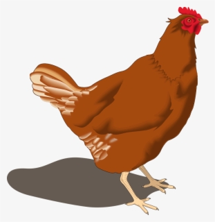 Free Hen Clip Art with No Background - ClipartKey