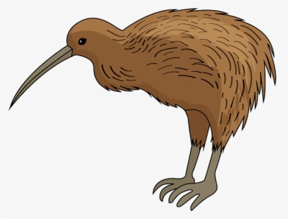 Images/kiwi Logo - Kiwi Python , Free Transparent Clipart - ClipartKey