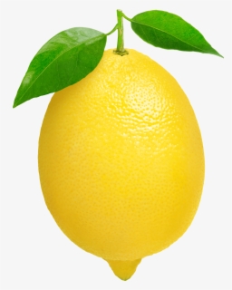 Lemon Leaf Clipart - Lemon Clip Art , Free Transparent Clipart - ClipartKey