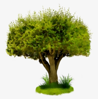 Chouk El Png Pinterest - Tree Safari Clipart Png , Free Transparent ...