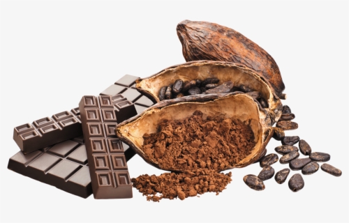 Cocoa Beans Png Image - Cacao Bean Png , Free Transparent Clipart ...
