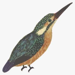 Transparent Bird Poop Clipart - Kingfisher Cartoon , Free Transparent ...