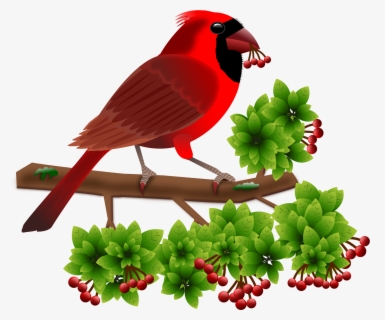 Beautiful Birds Word , Free Transparent Clipart - ClipartKey
