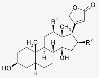 File - Digitalis Glycosides - Gitoxigenin , Free Transparent Clipart ...