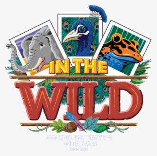 Vbs 2019 In The Wild , Free Transparent Clipart - ClipartKey