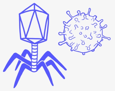 Bacteriophage - Bacteriophage Svg , Free Transparent Clipart - ClipartKey