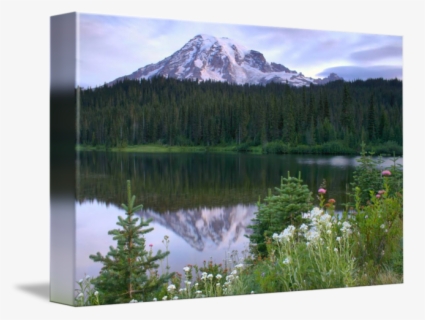 Free Reflection Clip Art with No Background - ClipartKey