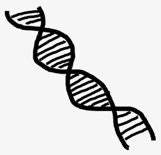 Free Double Helix Clip Art with No Background - ClipartKey