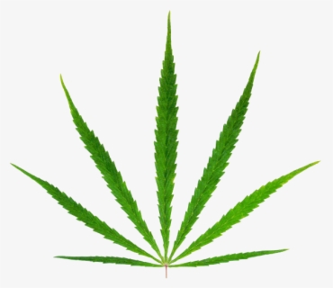 Transparent Marijuana Clipart - Transparent Background Weed Png , Free ...
