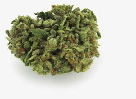 Weed Png Nug - Transparent Background Weed Nug Png , Free Transparent ...