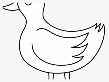 Download Duck Png Duck Line Drawing Clip Art Library - Duck Bird ...