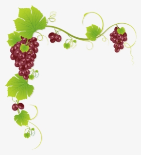 Grapevine Clipart Background - Grape Vines Frame , Free Transparent ...