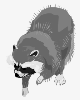 Raccoon Black White Line Art Hunky Dory Svg Colouringbook - Cartoon ...