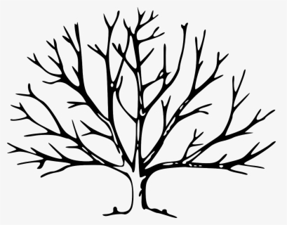 Hope Tree Cliparts - Tree With No Leaves , Free Transparent Clipart ...