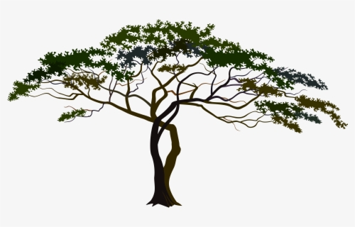 Tree Cliparts Transparent Translucent - African Tree Clipart Png , Free ...