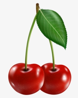 Cherry Clipart Ceri - Gambar Buah Cherry Animasi , Free Transparent ...