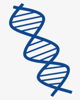 Scientific Experiments Dna Ladder - Escalera Del Adn , Free Transparent ...