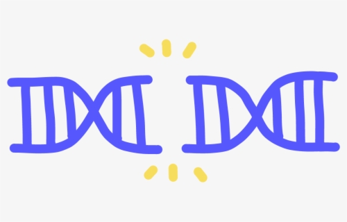 Free Dna Strand Clip Art with No Background - ClipartKey