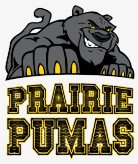 Fan Zone , Free Transparent Clipart - ClipartKey