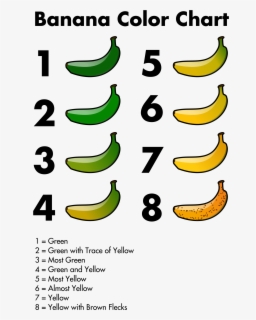 Banana Color Chart Clip Art , Free Transparent Clipart - ClipartKey
