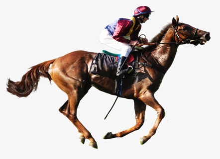 Download Horse Racing Transparent Background - ClipartKey