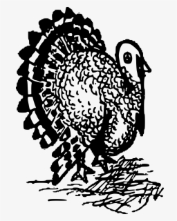 Turkey Clipart Whiteboard - Nursery School Png , Free Transparent ...