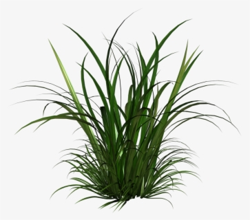 New Textures Billboard Grass - Grass Texture Unity Png , Free ...