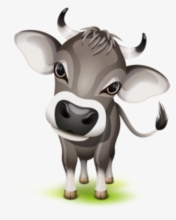 Clip Art Cow Clipart Heifer Pictures - Heifer Show Cattle Silhouette ...