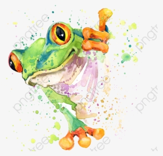 La Rana Rene Dibujo Clipart , Png Download - Dibujos De La Rana Rene ...