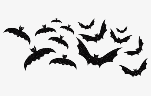 Halloween Bat Printable , Free Transparent Clipart - ClipartKey