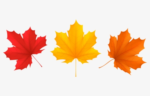 Fall Autumn Leaves Cartoon Png , Free Transparent Clipart - ClipartKey