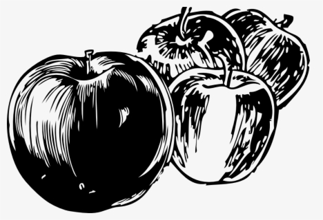 Free Apple Black And White Clip Art with No Background - ClipartKey