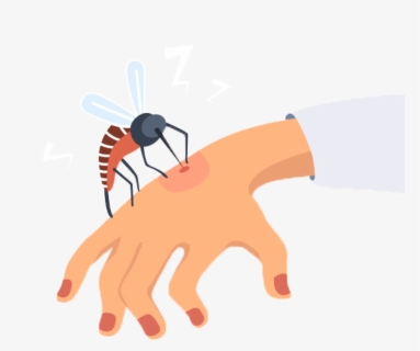 Drawn Mosquito Monster - Mosquito Fight Bite Drawing , Free Transparent ...