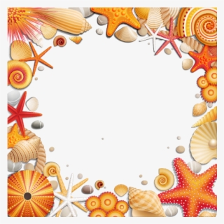 Sea Shells Border Png , Free Transparent Clipart - ClipartKey