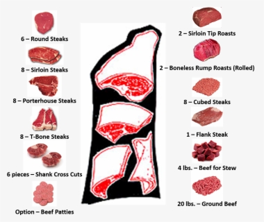 Beef Front Quarter Breakdown , Free Transparent Clipart - ClipartKey