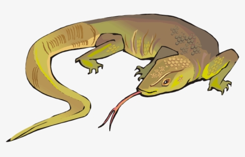 Transparent Komodo Dragon Png - Alligator Lizard , Free Transparent ...