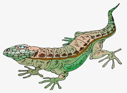 Free Lizard Clip Art with No Background - ClipartKey