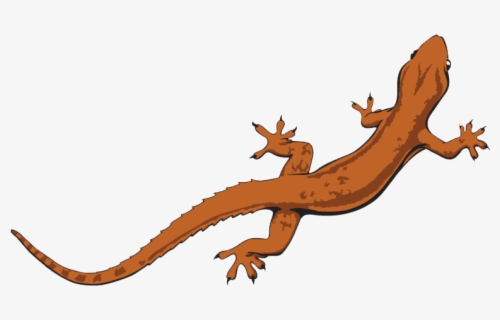 Download Lizard Png File - Transparent Background Lizard Clipart , Free ...