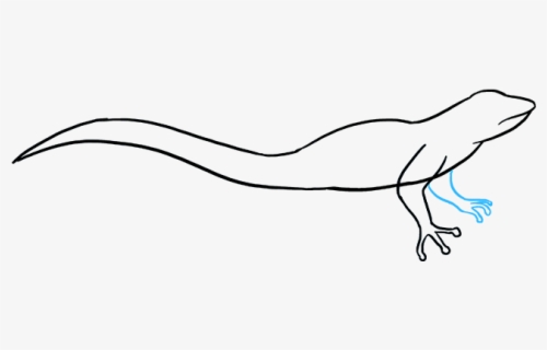 How To Draw Lizard - Line Art , Free Transparent Clipart - ClipartKey