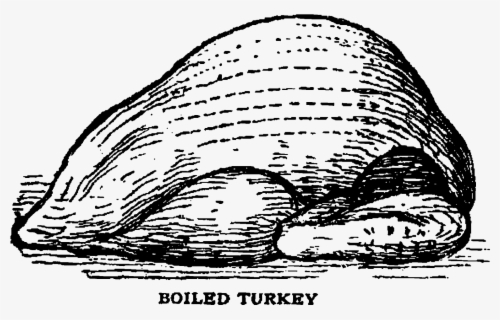 Drawing Turkey Color - Turkey Drawing , Free Transparent Clipart ...