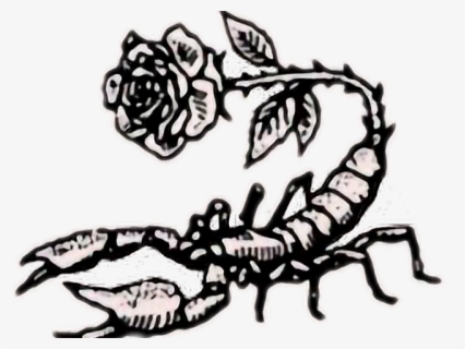 Scorpio With Rose , Free Transparent Clipart - ClipartKey
