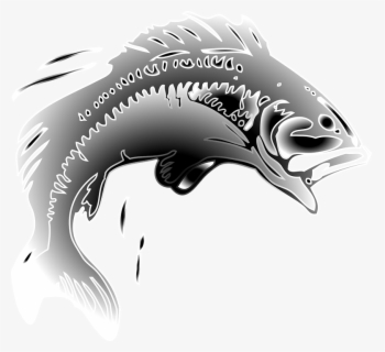 Free Jump Clip Art with No Background - ClipartKey
