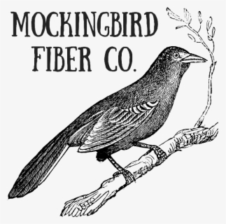 Transparent Mockingbird Png - Northern Mockingbird Png , Free ...